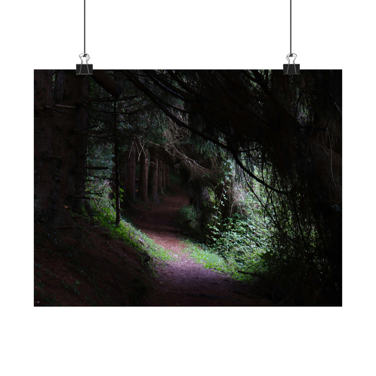 Matte Horizontal Posters - Fae Portal – Bekkathyst