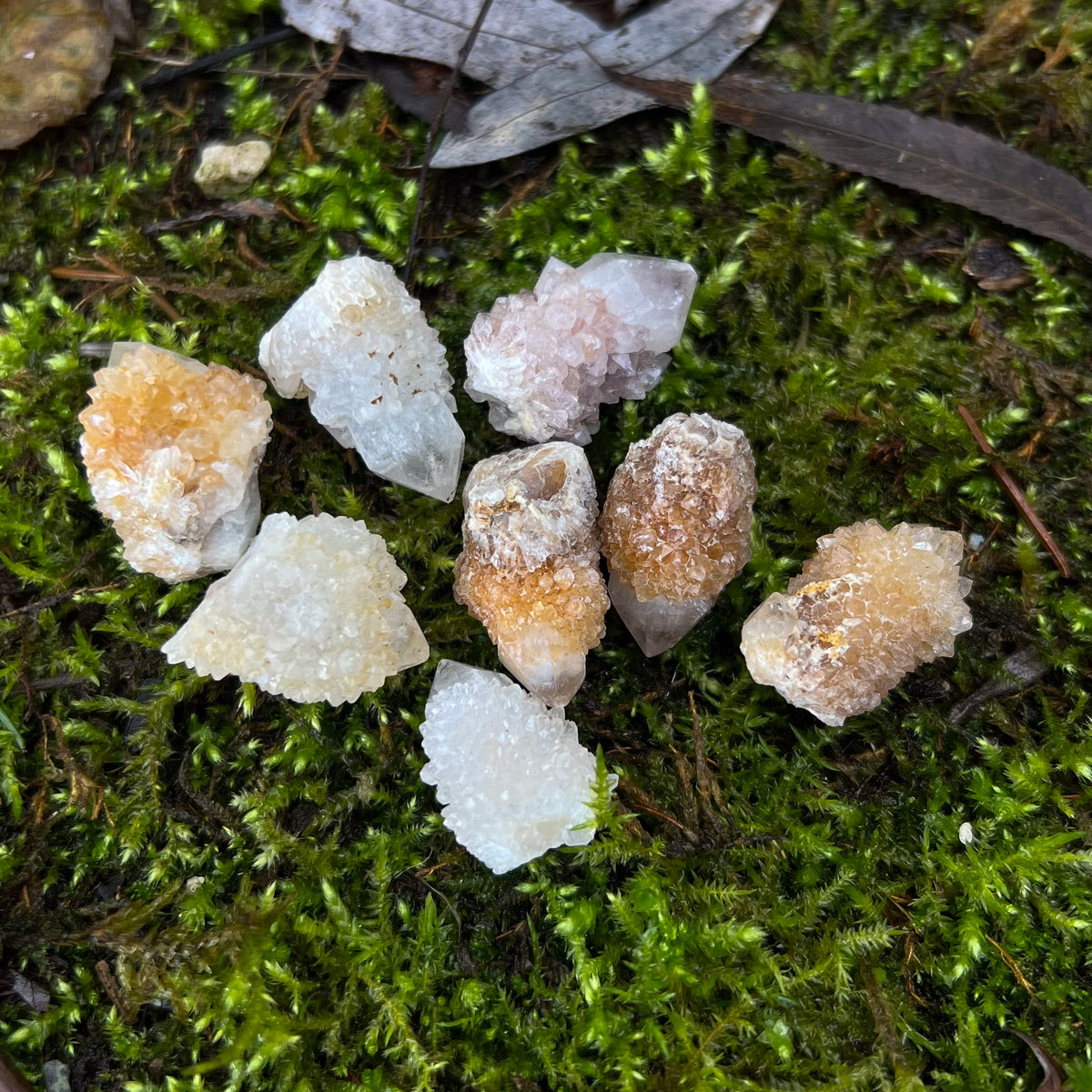 Spirit Quartz Points – Bekkathyst